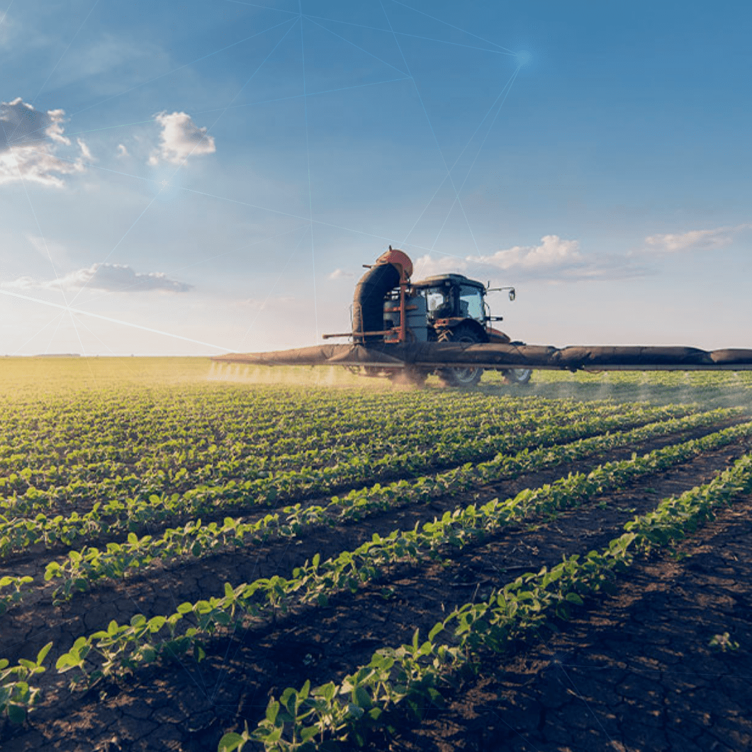Crescimento do agro impulsiona renda e aumento populacional em estados ...
